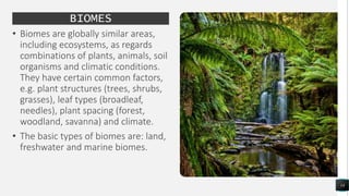 Ecosystem Powerpoint | PPT