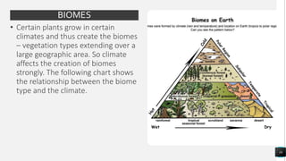 Ecosystem Powerpoint | PPT