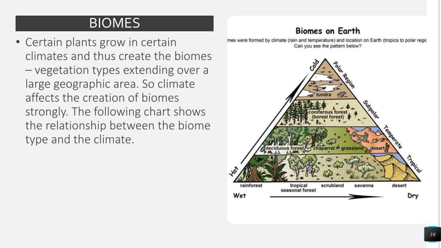 Ecosystem Powerpoint | PPT