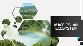 Ecosystem Powerpoint | PPT