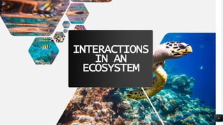 Ecosystem Powerpoint | PPT