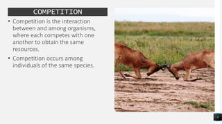 Ecosystem Powerpoint | PPT