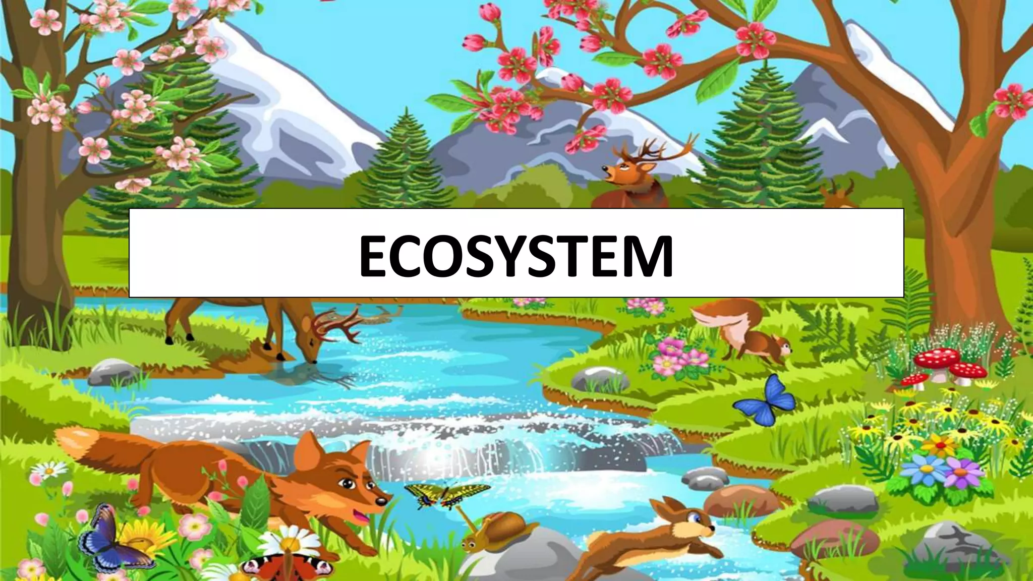 ECOSYSTEM FINAL.pptx | Weather | Science
