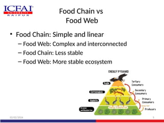 Eco System's element describing Food Chain & Food Web | PPTX