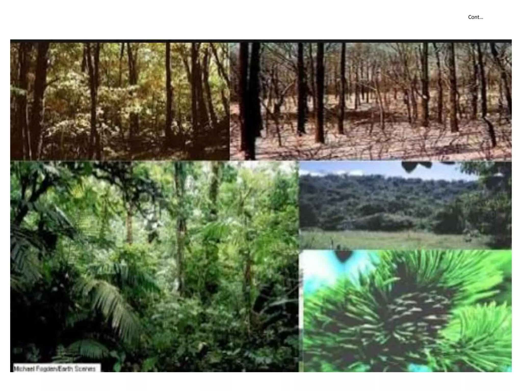Ecosystem function type teristrial(forest and grassland) | PPTX
