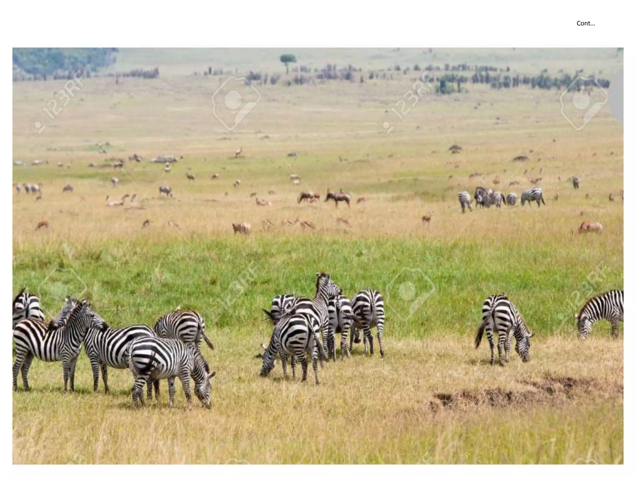 Ecosystem function type teristrial(forest and grassland) | PPTX