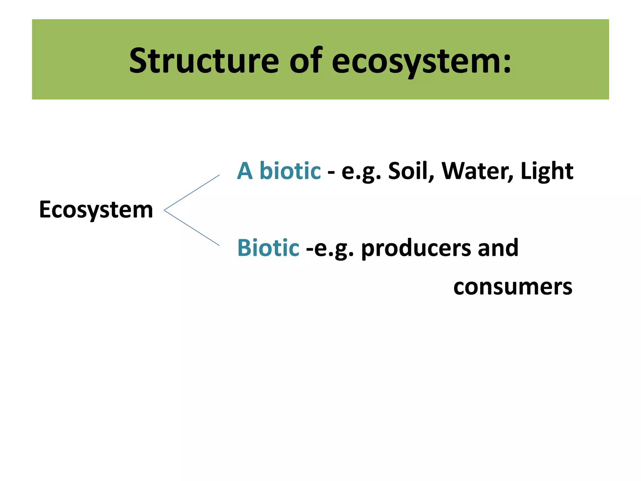 Ecosystem function type teristrial(forest and grassland) | PPTX