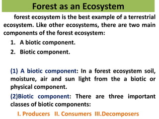 Ecosystem function type teristrial(forest and grassland) | PPTX ...