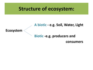 Ecosystem function type teristrial(forest and grassland) | PPTX ...
