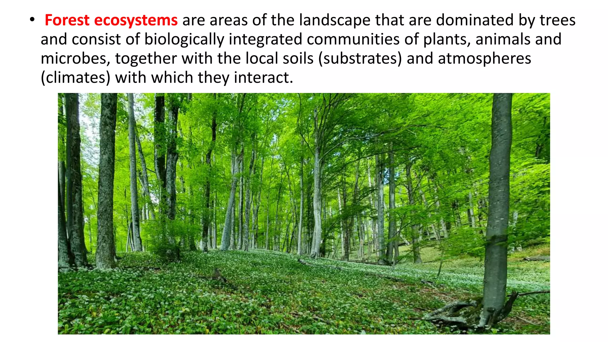 ECOSYSTEM G4.pptx