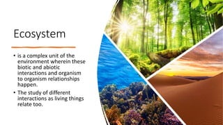 ECOSYSTEM G5 [Autosaved].pptx