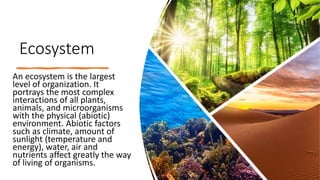 ECOSYSTEM G5 [Autosaved].pptx