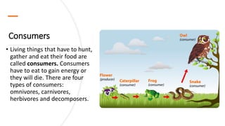ECOSYSTEM G5 [Autosaved].pptx