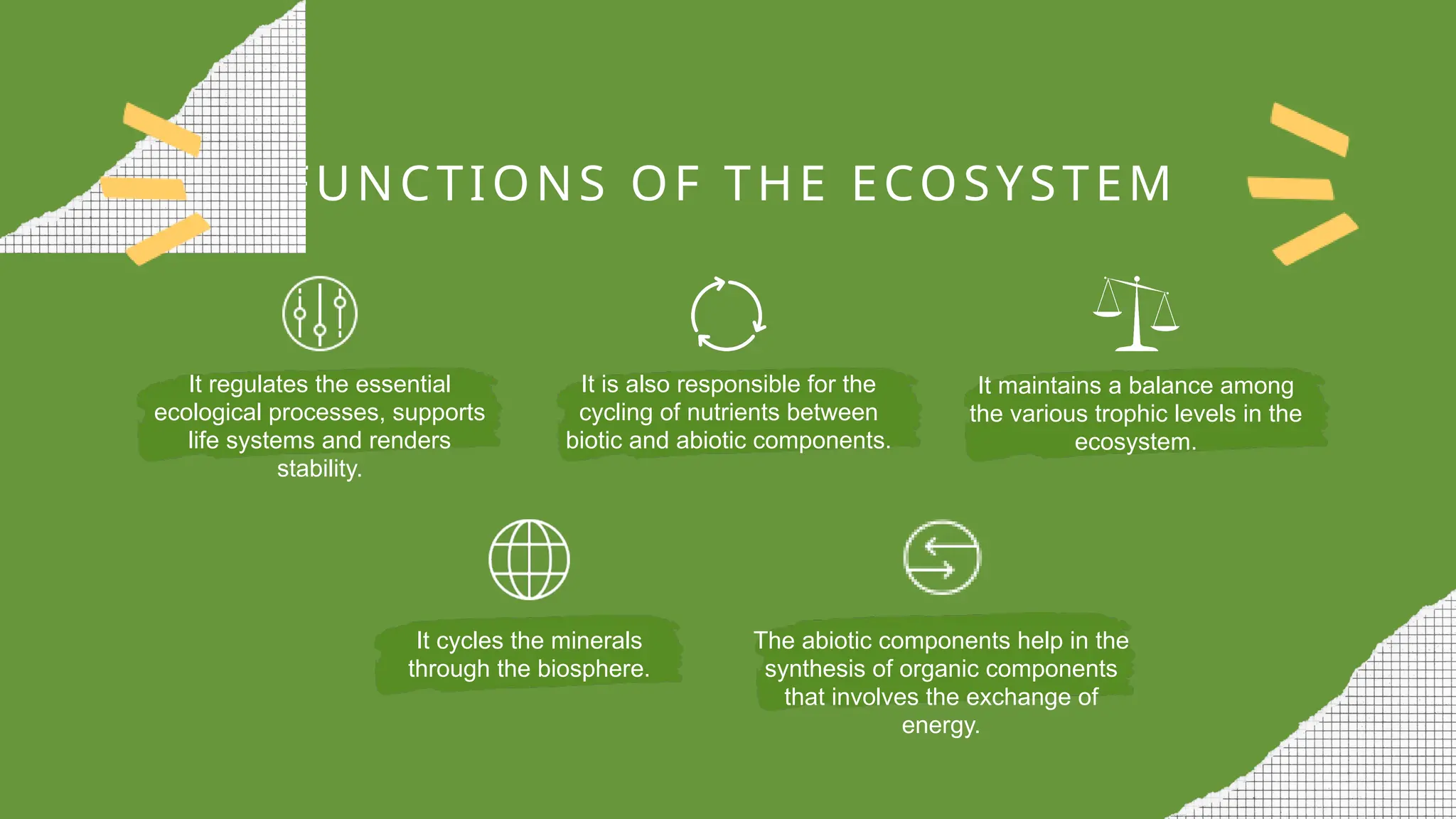 Ecosystem geography social science fun photo school project ...