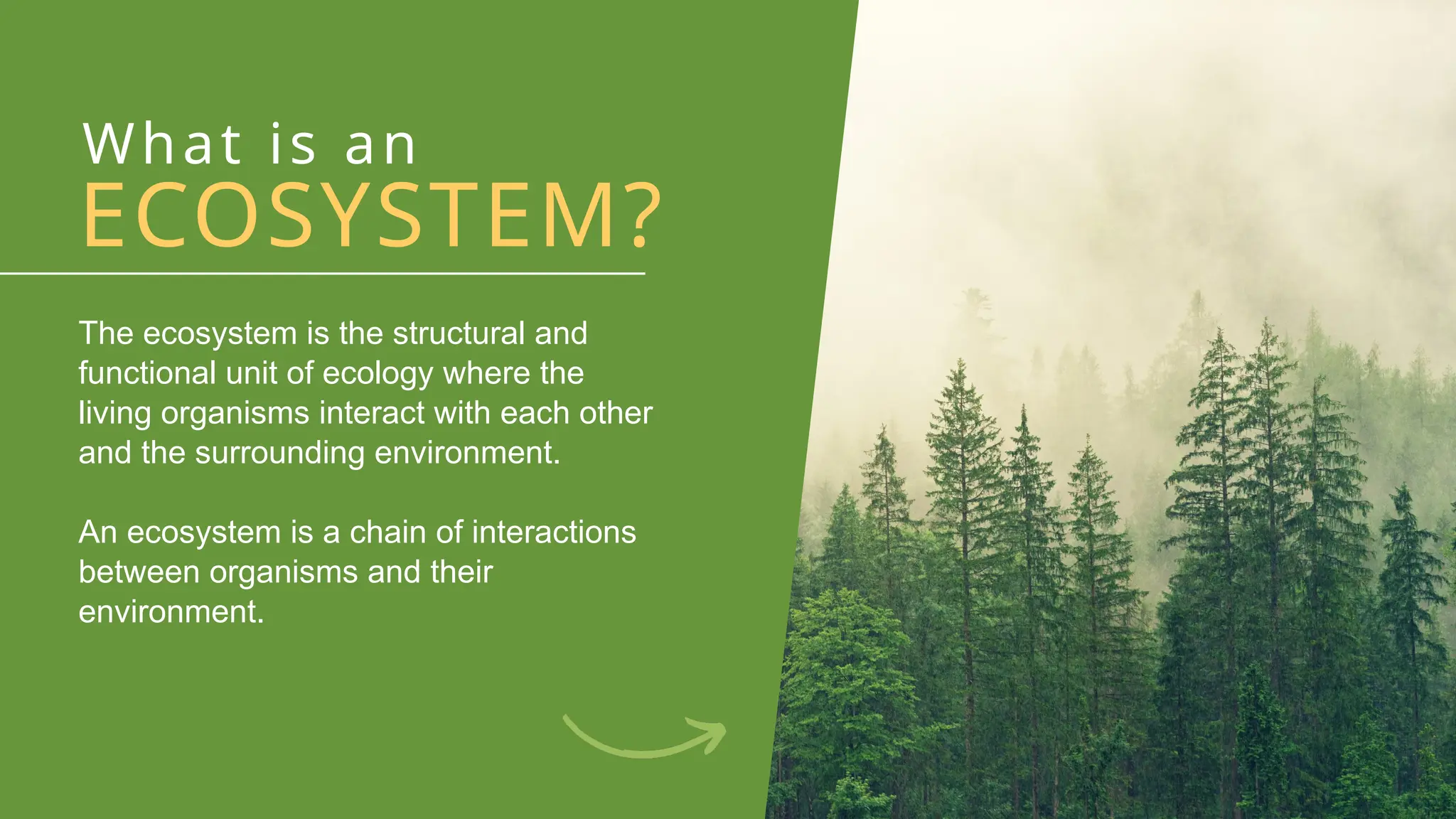 Ecosystem geography social science fun photo school project ...