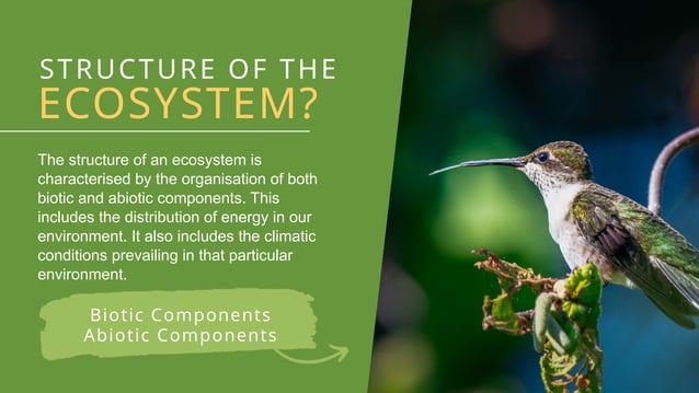 Ecosystem geography social science fun photo school project ...