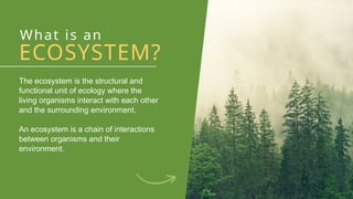 Ecosystem geography social science fun photo school project ...