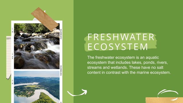 Ecosystem geography social science fun photo school project ...