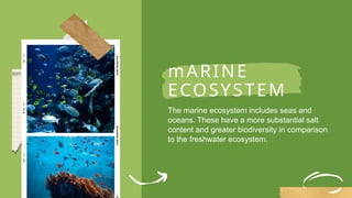 Ecosystem geography social science fun photo school project ...