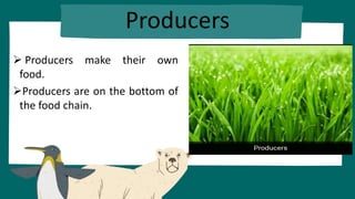ECOSYSTEM HABITAT NICHE , FOOD CHAIN & WEB | PPTX