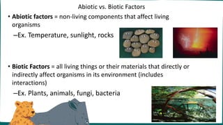 ECOSYSTEM HABITAT NICHE , FOOD CHAIN & WEB | PPTX