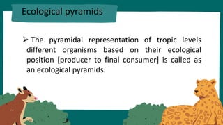 ECOSYSTEM HABITAT NICHE , FOOD CHAIN & WEB | PPTX