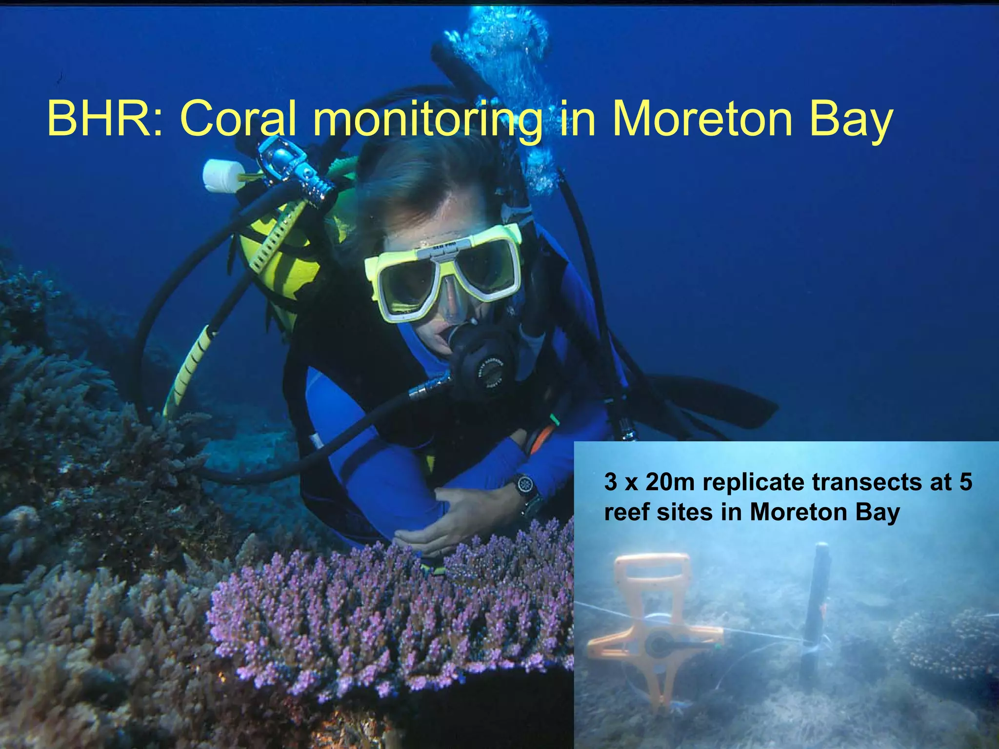 Ecosystem health monitoring program,julia playford | PPT