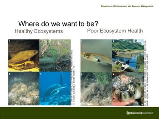 Ecosystem health monitoring program,julia playford | PPT