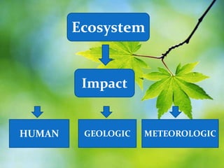 Ecosystem impact and planning | PPT