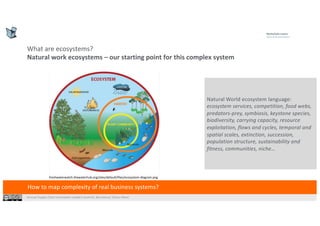 Ecosystem innovation – a new approach to complex supply chain ...