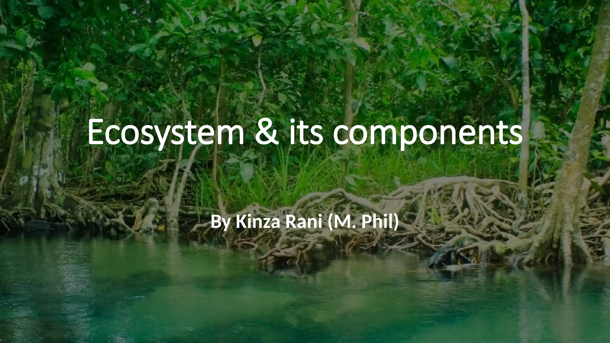 Ecosystem & its components (producers, consumers, and decomposers) | PPTX