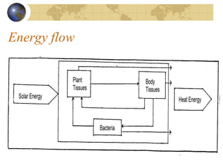 Ecosystem JDW.ppt
