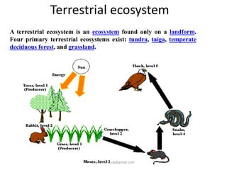 Ecosystem@ jitendra | PPTX