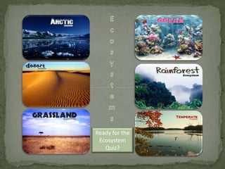 Ecosystem learning game and quiz | PPTX