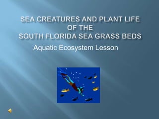 Aquatic Ecosystem lesson | PPT