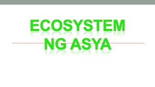 Ecosystem ng Asya | PPTX