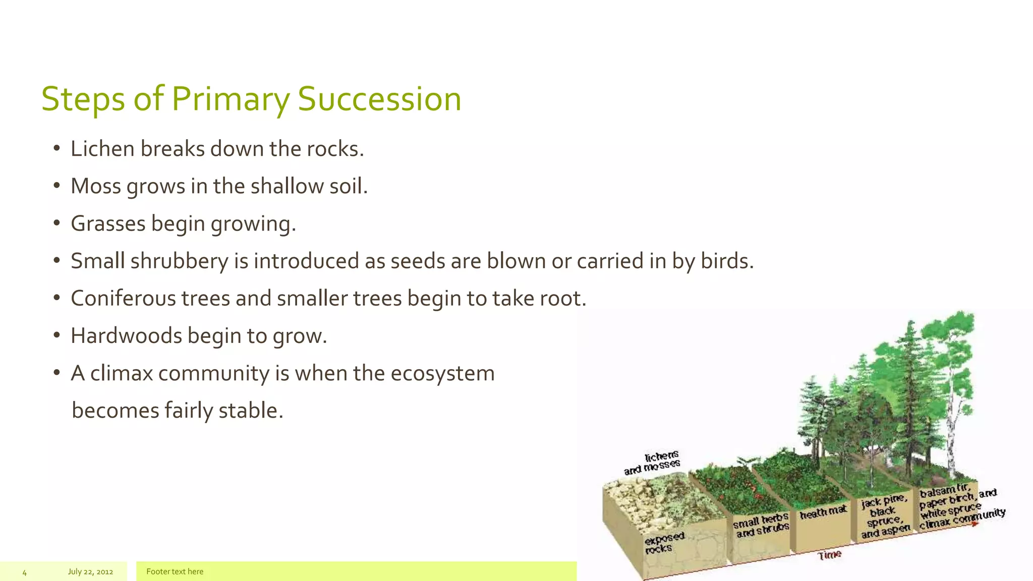 Ecosystem notes | PPTX