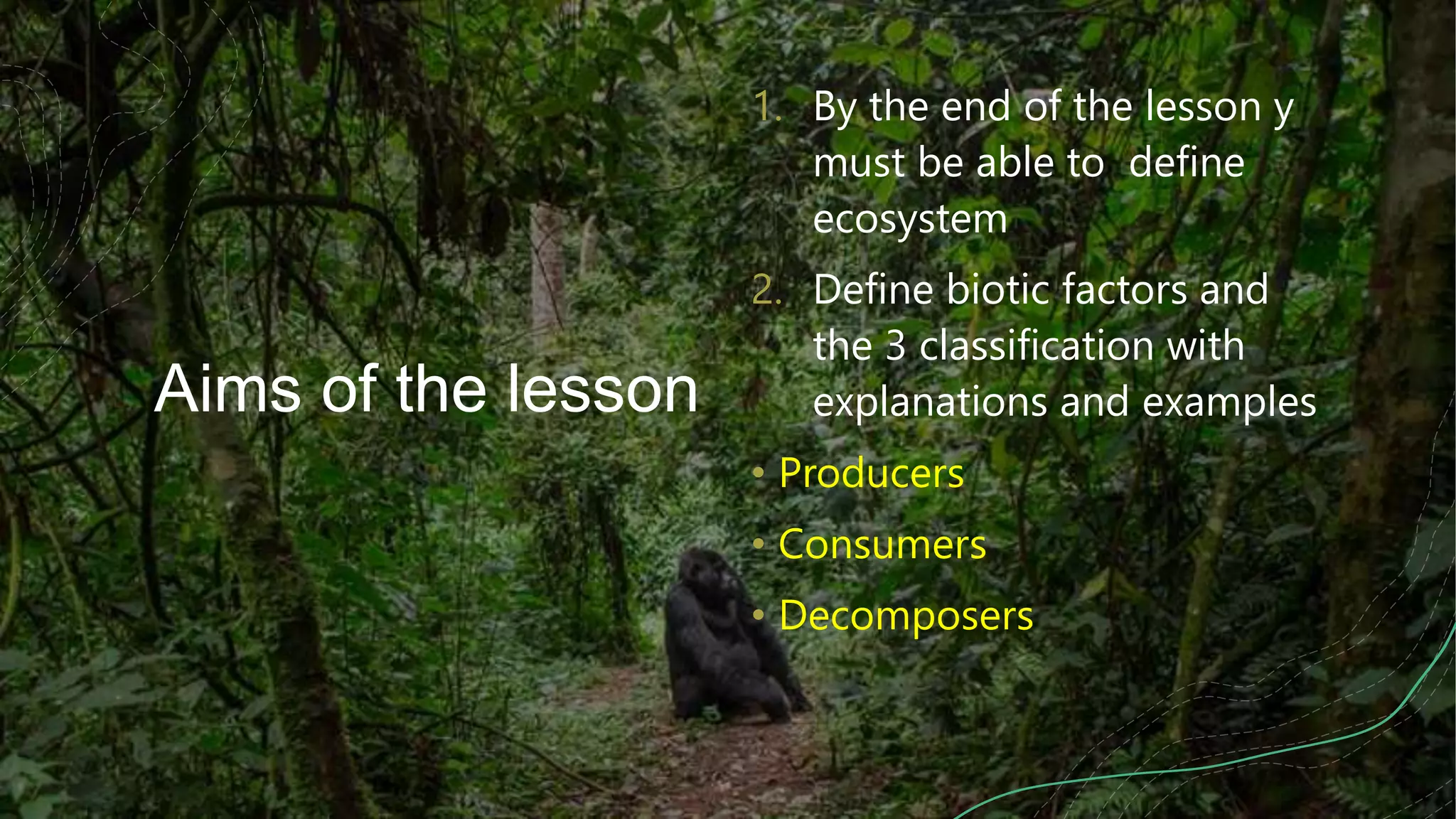 ECOSYSTEM NOTES .pptx | Geography | Science