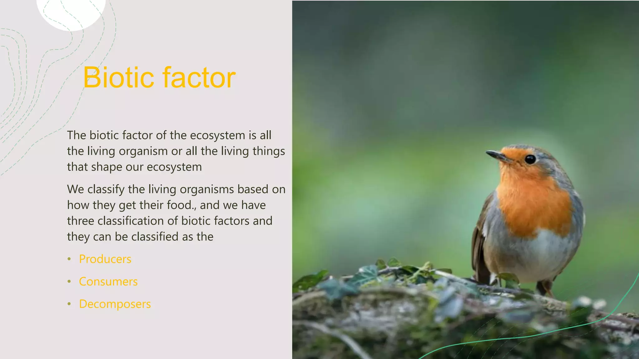 ECOSYSTEM NOTES .pptx