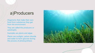 ECOSYSTEM NOTES .pptx | Geography | Science