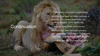 ECOSYSTEM NOTES .pptx