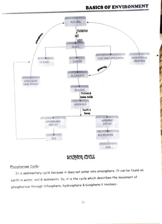 ECOSYSTEM NOTES (2).pdf