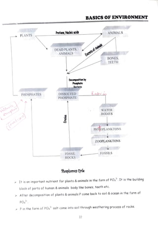 ECOSYSTEM NOTES (2).pdf
