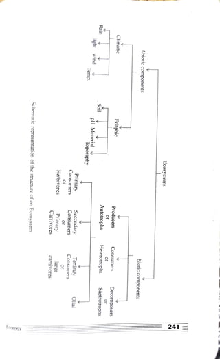 ECOSYSTEM NOTES (2).pdf