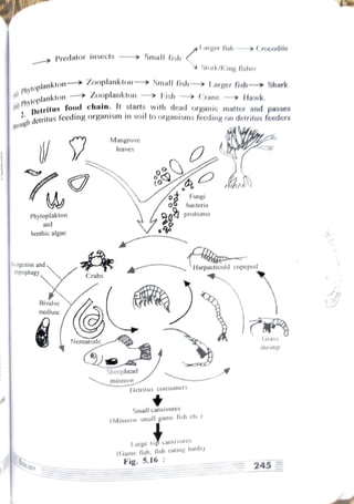 ECOSYSTEM NOTES (2).pdf