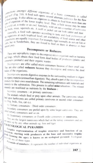 ECOSYSTEM NOTES (2).pdf