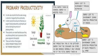 ecosystem open elective.pptx