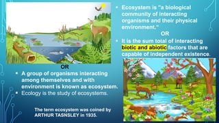 ECOSYSTEM pdf ..pdf