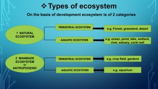 ECOSYSTEM pdf ..pdf
