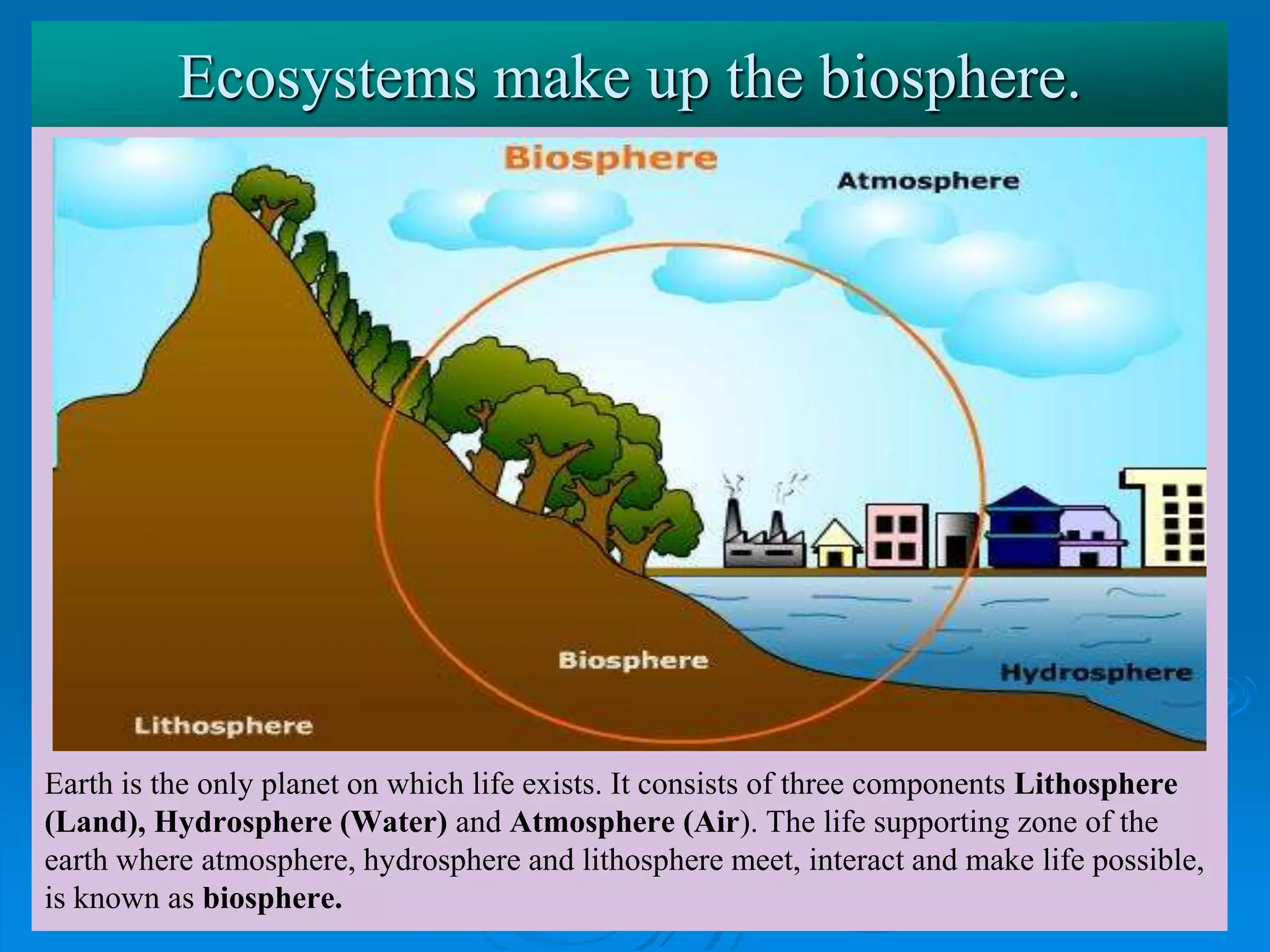 Ecosystem powerpoint | PPT